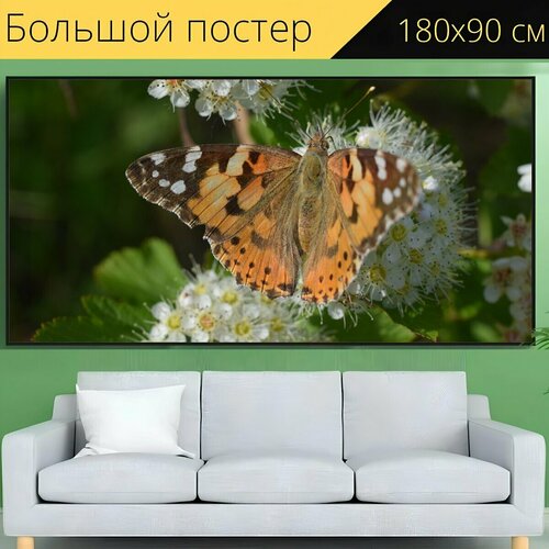 Большой постер "Бабочка, цветение, лето" 180 x 90 см. для интерьера