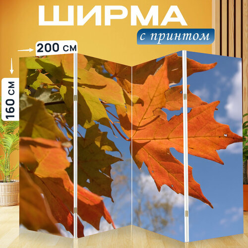 Ширма перегородка с принтом "Падение, осенние листья, апельсин" на холсте - 200x160 см. для зонирования, раскладная