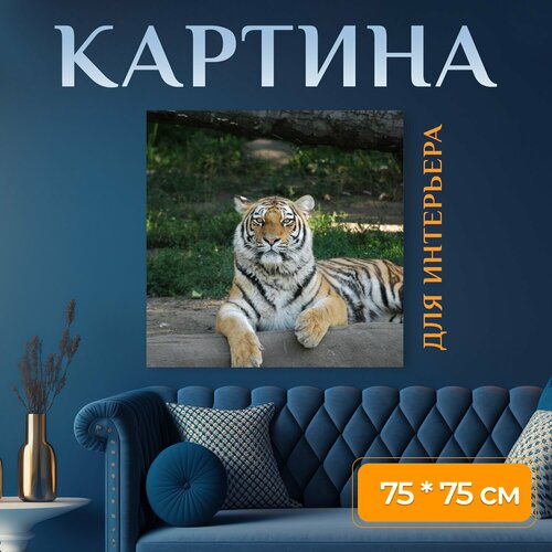 Картина на холсте "Тигр, опасный, хищник" на подрамнике 75х75 см. для интерьера