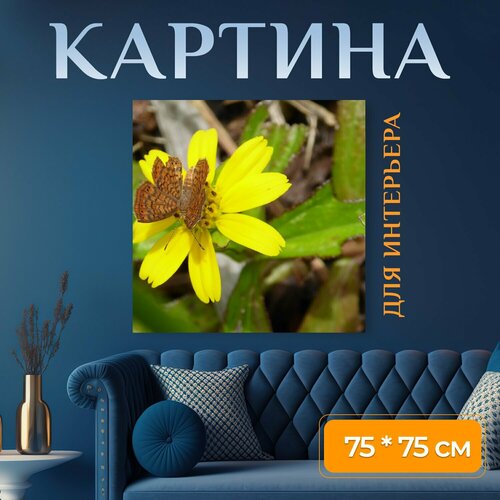 Картина на холсте "Цветок, жёлтый, бабочка" на подрамнике 75х75 см. для интерьера