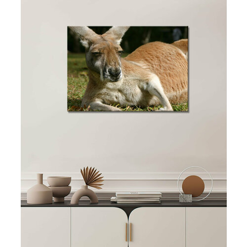 Картина - кенгуру, большой кенгуру, кенгуру лежит, рыжий кенгуру, кенгуру взгляд (21) 30х40