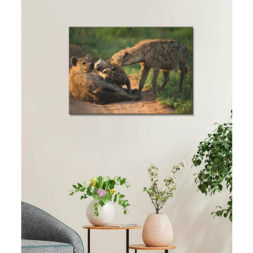 Картина - гиена, гиена в африке, хищная гиена, дикая гиена, гиена в природе (4) 40х60