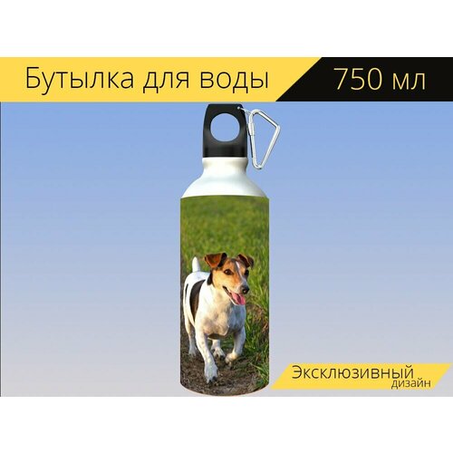 Бутылка фляга для воды "Джек рассел, собака, открытая собака" 750 мл. с карабином и принтом