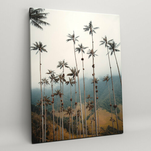 Картина на холсте (интерьерный постер) "Южные пальмы" пейзажи, с деревянным подрамником, размер 30x40 см