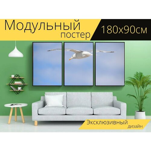 Модульный постер "Чайка, чайка белая, вид морской птицы" 180 x 90 см. для интерьера