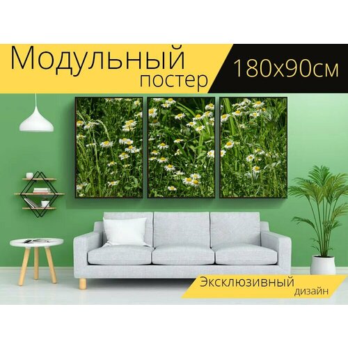 Модульный постер "Ромашки, цветы, ромашка" 180 x 90 см. для интерьера