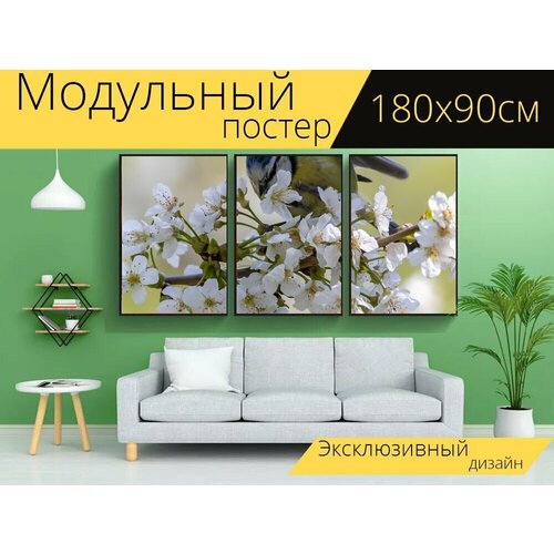 Модульный постер "Птица, лазоревка, яблоневый цвет" 180 x 90 см. для интерьера