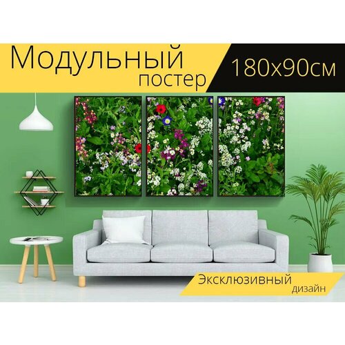 Модульный постер "Цветочный луг, луговые цветы, полевые цветы" 180 x 90 см. для интерьера
