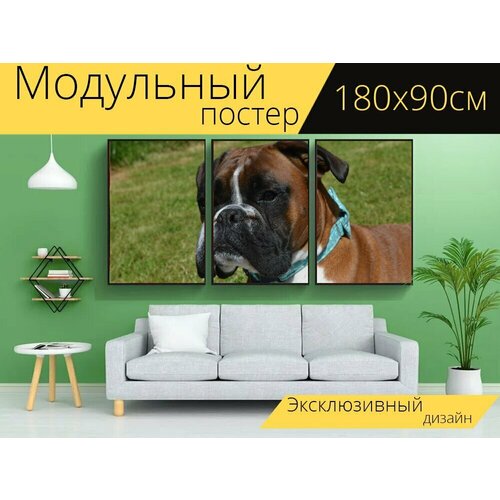 Модульный постер "Собака, боксер собаки, домашний питомец" 180 x 90 см. для интерьера