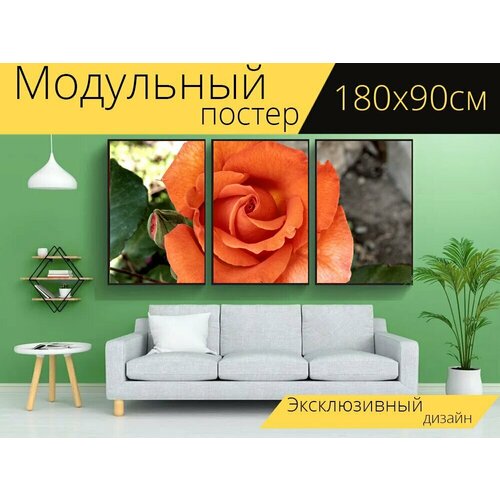 Модульный постер "Роуз, розы, оранжевые розы" 180 x 90 см. для интерьера