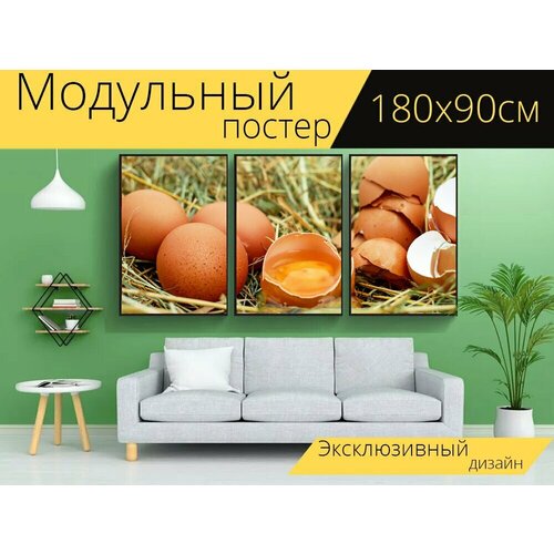 Модульный постер "Яйца, куриные яйца, сырые яйца" 180 x 90 см. для интерьера