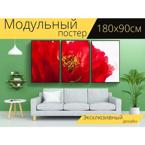 Модульный постер "Пятидесятница, пион, цветок" 180 x 90 см. для интерьера