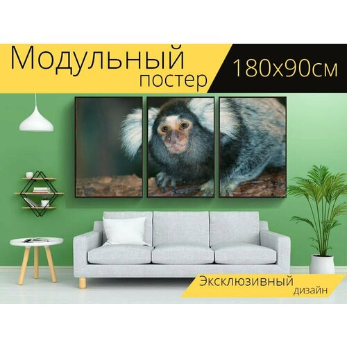 Модульный постер "Обезьяна, виды обезьян, млекопитающее" 180 x 90 см. для интерьера