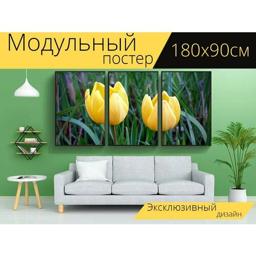 Модульный постер "Желтый цветок, желтые тюльпаны, тюльпан" 180 x 90 см. для интерьера