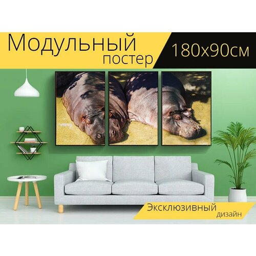 Модульный постер "Бегемоты, зоопарк, гиппопотам" 180 x 90 см. для интерьера