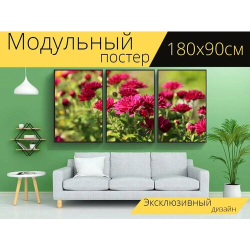 Модульный постер "Цветы, хризантемы, растения" 180 x 90 см. для интерьера