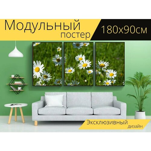 Модульный постер "Ромашки, луговые ромашки, луговые цветы" 180 x 90 см. для интерьера