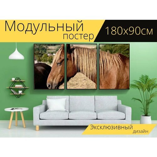 Модульный постер "Лошадь, конный спорт, грива" 180 x 90 см. для интерьера