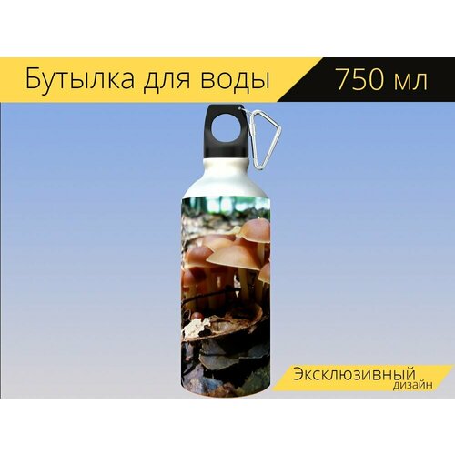 Бутылка фляга для воды "Грибы, гриб, грибок" 750 мл. с карабином и принтом