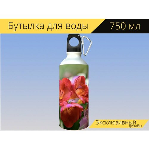 Бутылка фляга для воды "Цветок, цвести, завод" 750 мл. с карабином и принтом