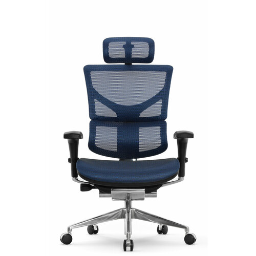 Эргономичное кресло Falto Expert Sail, цвет синий