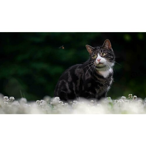 Картина на холсте 60x110 LinxOne "Красивый полосатый кот сидит" интерьерная для дома / на стену / на кухню / с подрамником