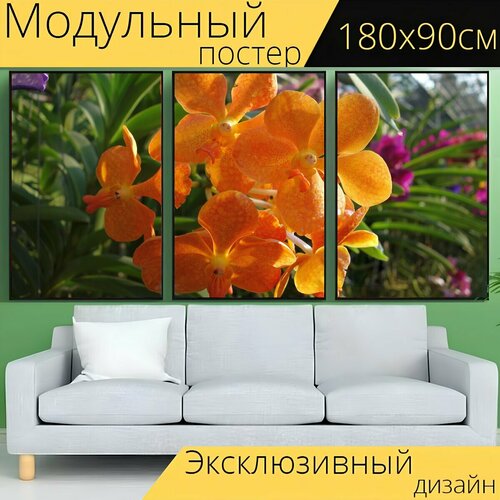 Модульный постер "Орхидея, завод, апельсин" 180 x 90 см. для интерьера