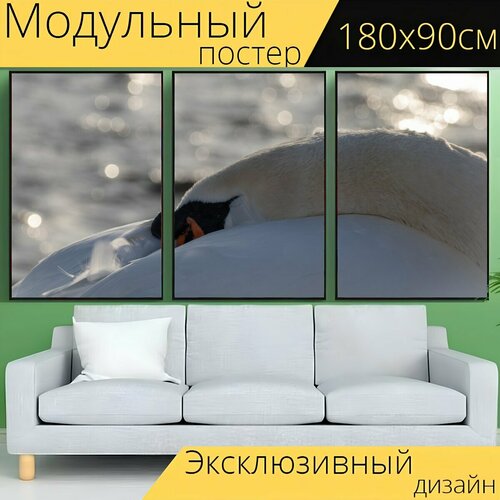 Модульный постер "Лебедь, вода, спящий" 180 x 90 см. для интерьера