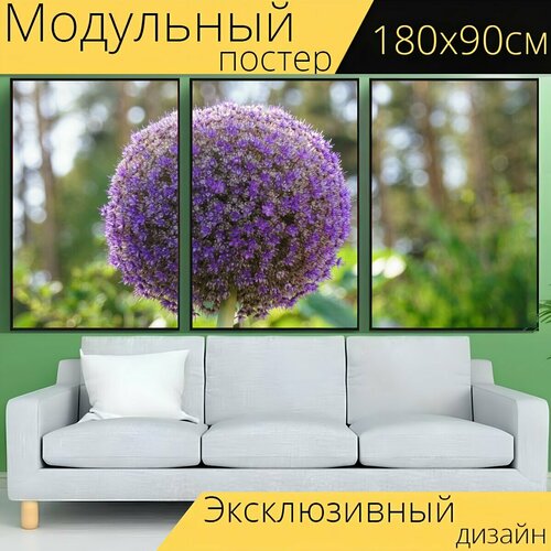 Модульный постер "Фиолетовый, весна, цветок" 180 x 90 см. для интерьера