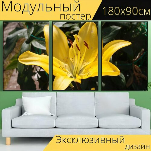 Модульный постер "Лилия, цветок, желтый" 180 x 90 см. для интерьера