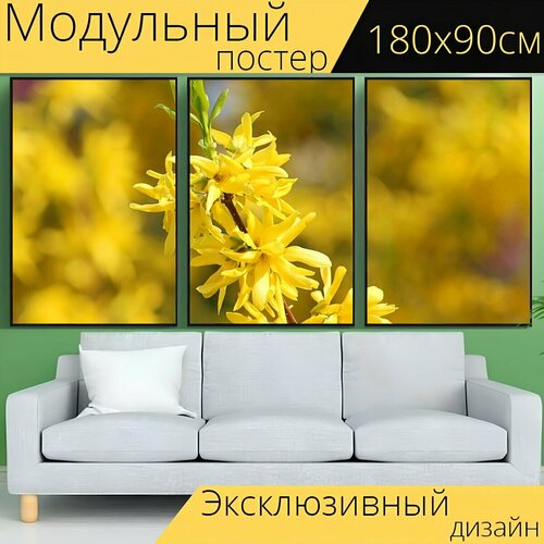 Модульный постер "Расцветает, кустарник, желтый" 180 x 90 см. для интерьера