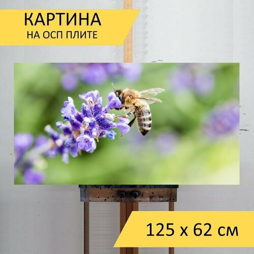 Картина на ОСП 125х62 см. "Лаванда, пчела, насекомое" горизонтальная, для интерьера, с креплениями