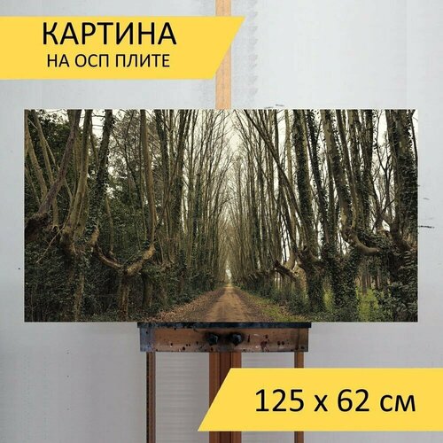 Картина на ОСП 125х62 см. "Древесина, дерево, природа" горизонтальная, для интерьера, с креплениями