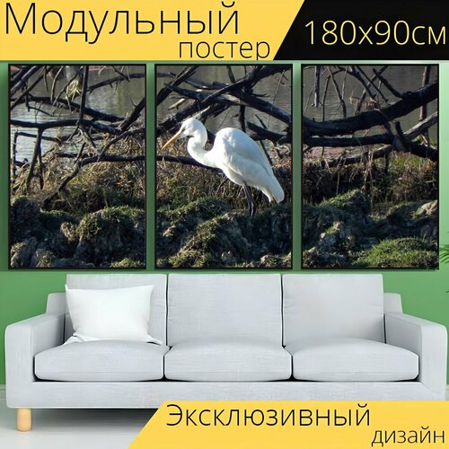 Модульный постер "Птица, большая белая цапля, отражение" 180 x 90 см. для интерьера