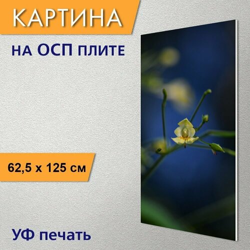 Вертикальная картина на ОСП "Полевой цветок, цветок, природа" 62x125 см. для интерьериа