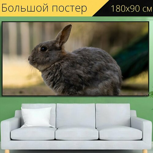 Большой постер "Животное, заяц, кролик" 180 x 90 см. для интерьера