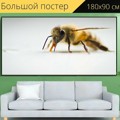 Большой постер "Пчела, макрос, насекомое" 180 x 90 см. для интерьера