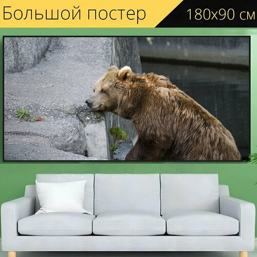 Большой постер "Медведь, плюшевый медведь, коричневый" 180 x 90 см. для интерьера