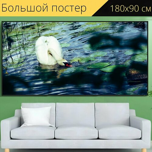Большой постер "Лебедь, озеро, утки" 180 x 90 см. для интерьера