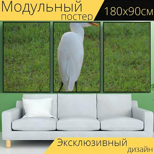 Модульный постер "Птица, белый, перо" 180 x 90 см. для интерьера