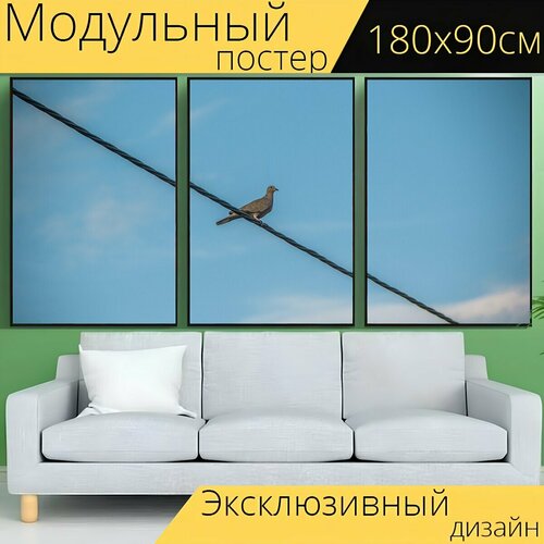 Модульный постер "Горлица, птица, голубь" 180 x 90 см. для интерьера