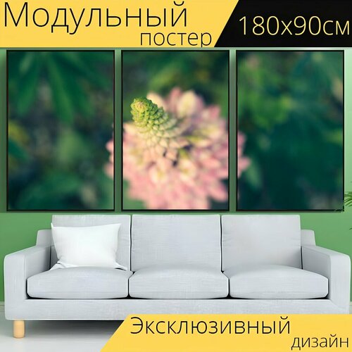 Модульный постер "Люпин, цветок, природа" 180 x 90 см. для интерьера