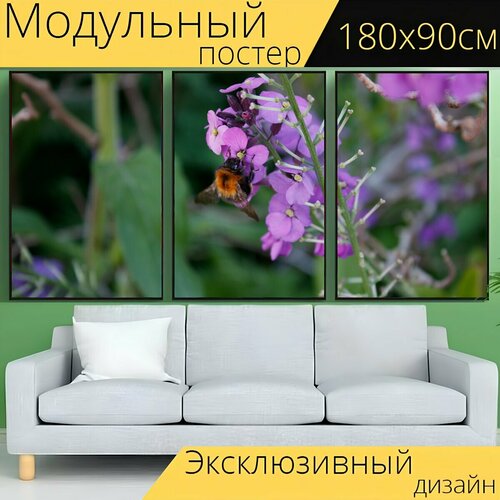 Модульный постер "Пчела, жук, насекомое" 180 x 90 см. для интерьера
