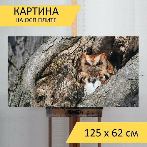 Картина на ОСП 125х62 см. "Сова, дерево, дикая природа" горизонтальная, для интерьера, с креплениями