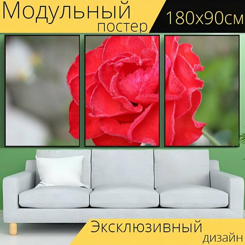 Модульный постер "Туман красная роза, раннее утро, цветок" 180 x 90 см. для интерьера