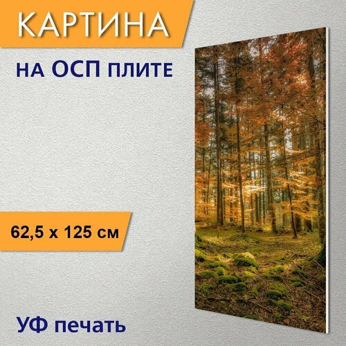 Вертикальная картина на ОСП "Пейзаж, природа, лес" 62x125 см. для интерьериа