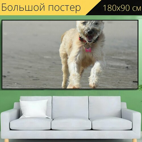 Большой постер "Собака, пляж, море" 180 x 90 см. для интерьера