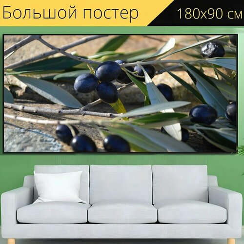 Большой постер "Оливки, маслины черные, оливье" 180 x 90 см. для интерьера