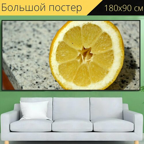 Большой постер "Лимон, цитрусовый фрукт, фрукты" 180 x 90 см. для интерьера