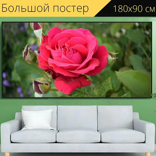 Большой постер "Роза, цветы, сад" 180 x 90 см. для интерьера